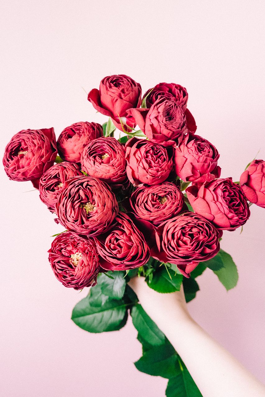 ひまわり畑から