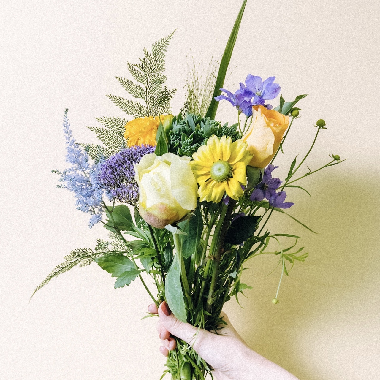 レモン色の芍薬