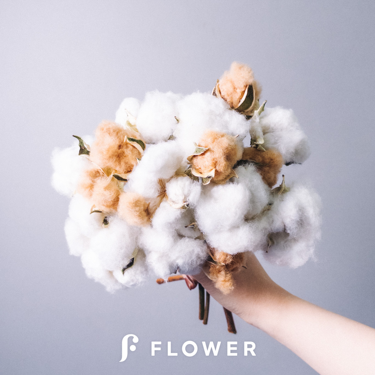 ミニサイズのコットン